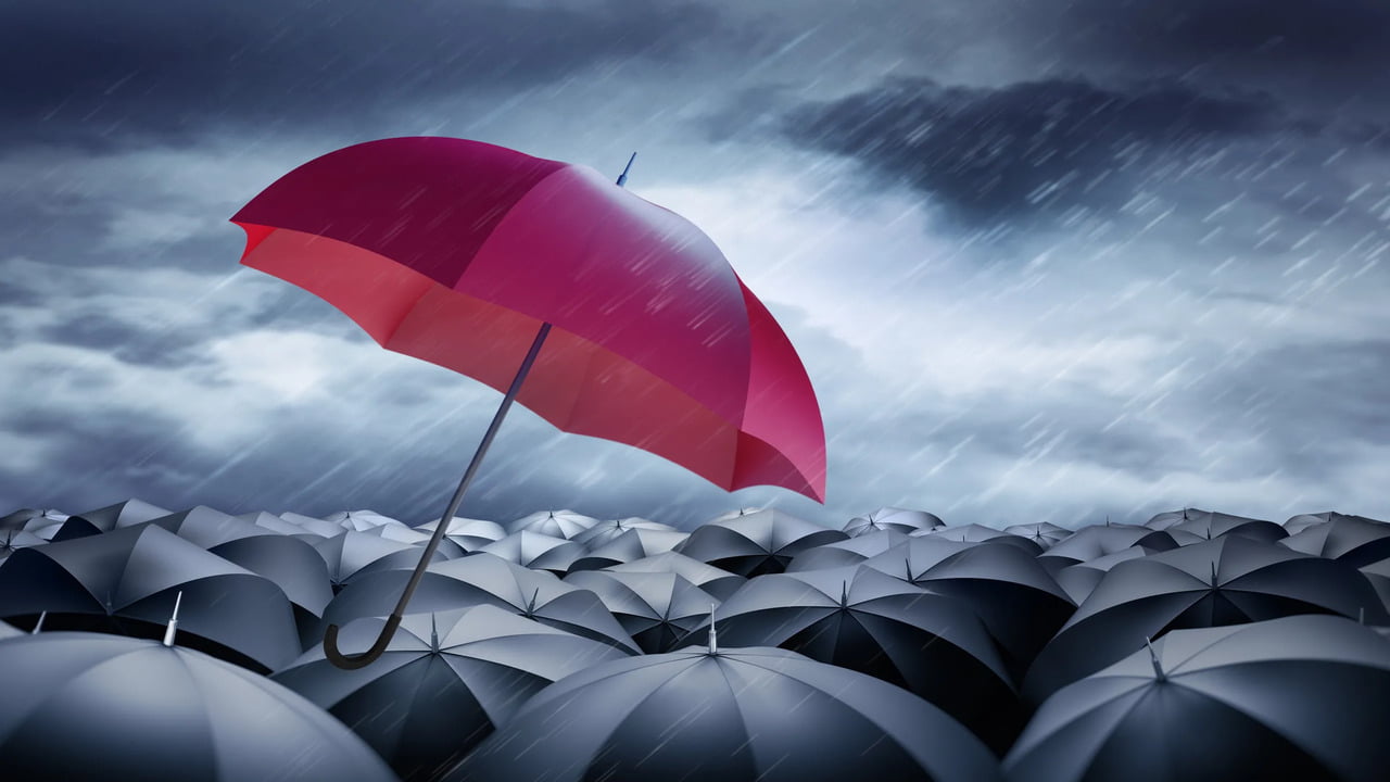 Aprende todo sobre el futuro simple con esta guía de características y usos