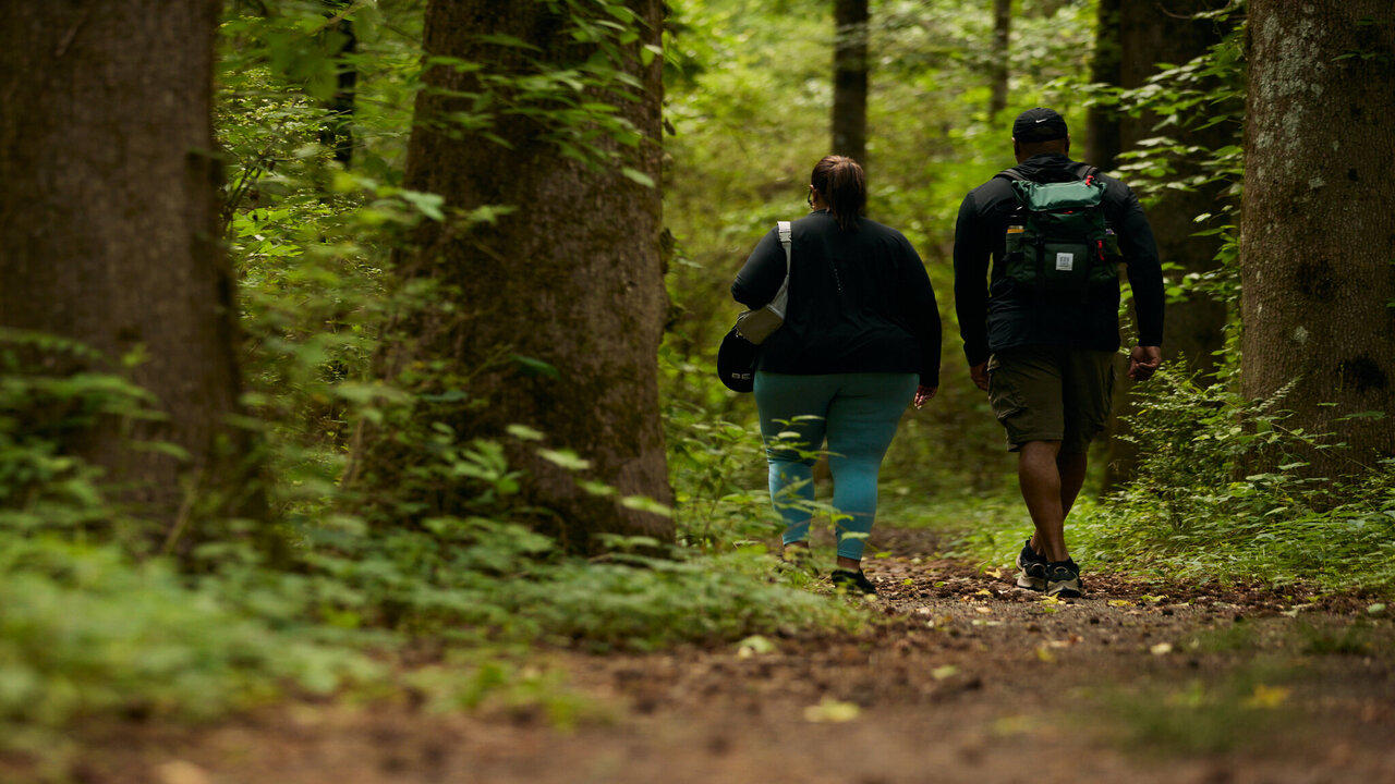 VOCABULARIO PASEO CAMPO INGLÉS - YouTalk TV Plus